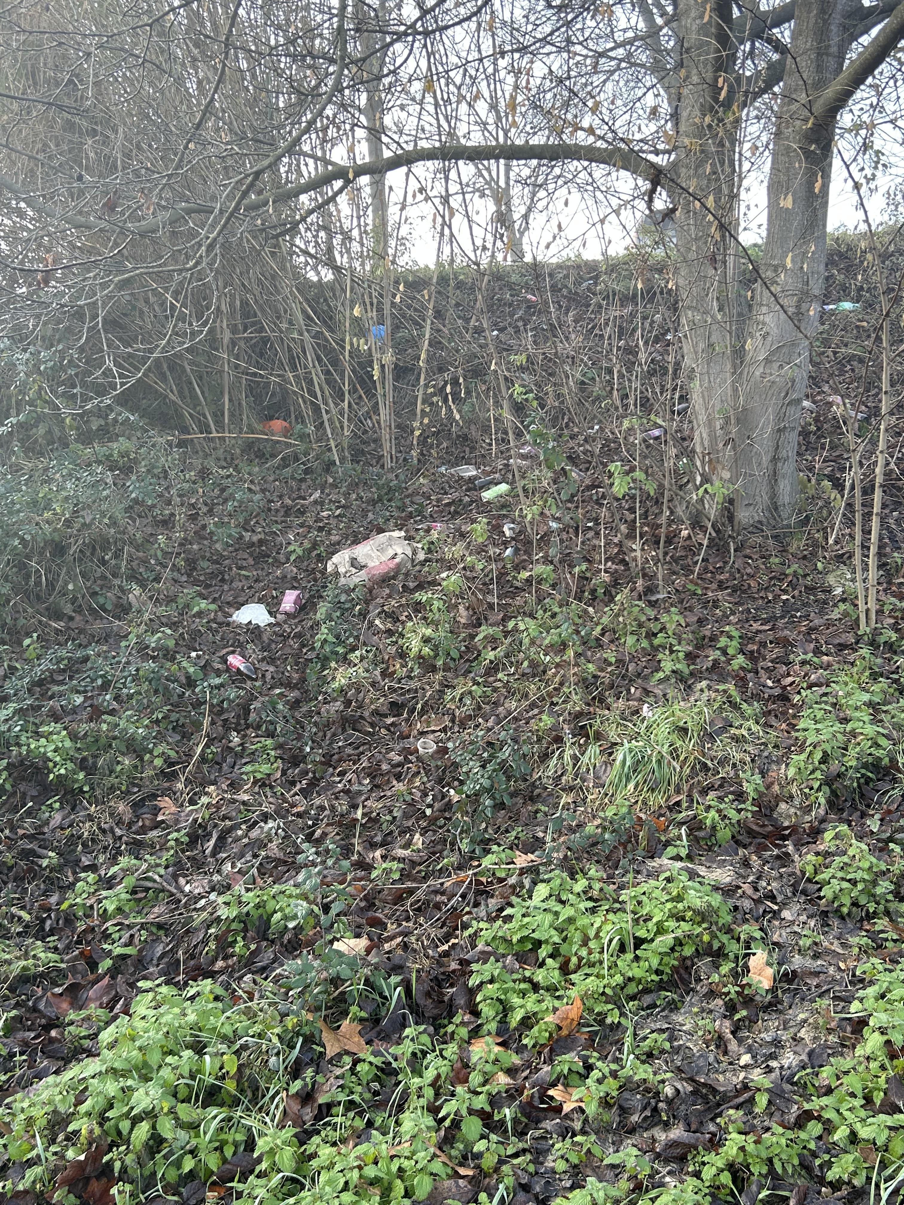 19993 - Ajuntament de Vic